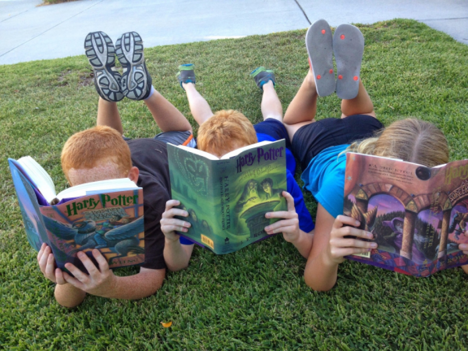 The Brainy Bees Book Club | Dublin City Council
